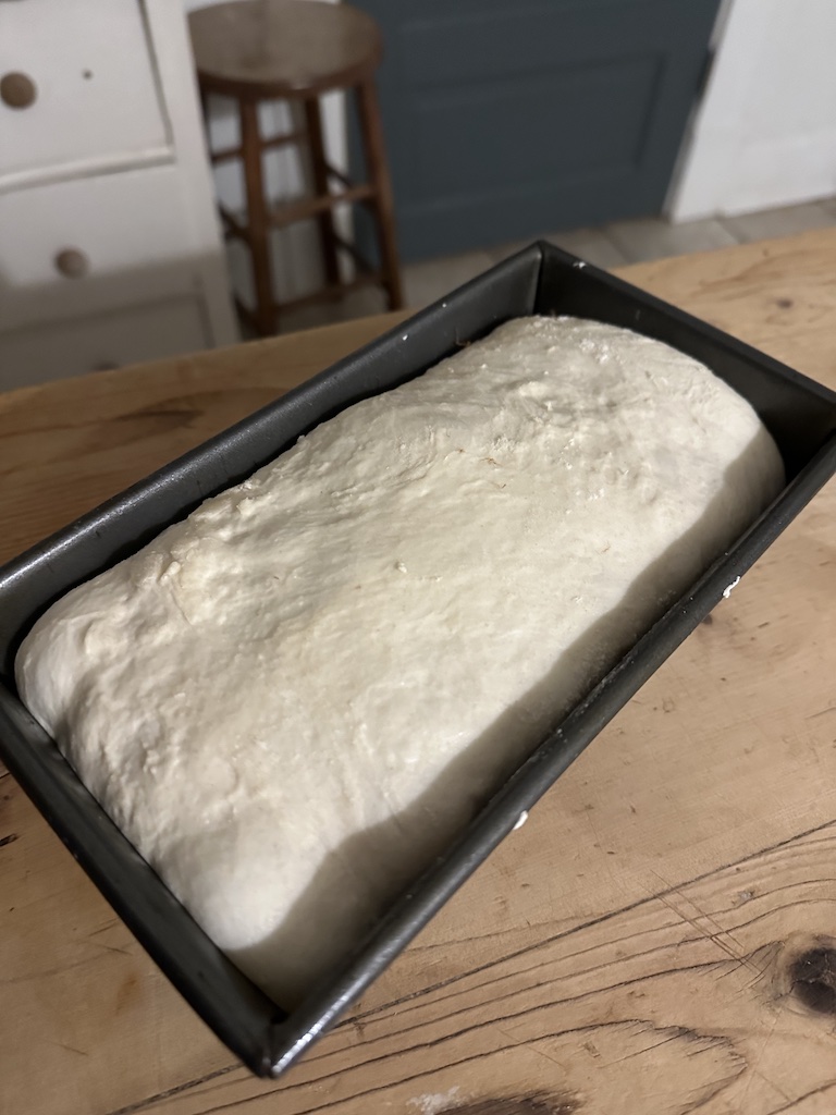 Easy Sourdough Sandwich Bread