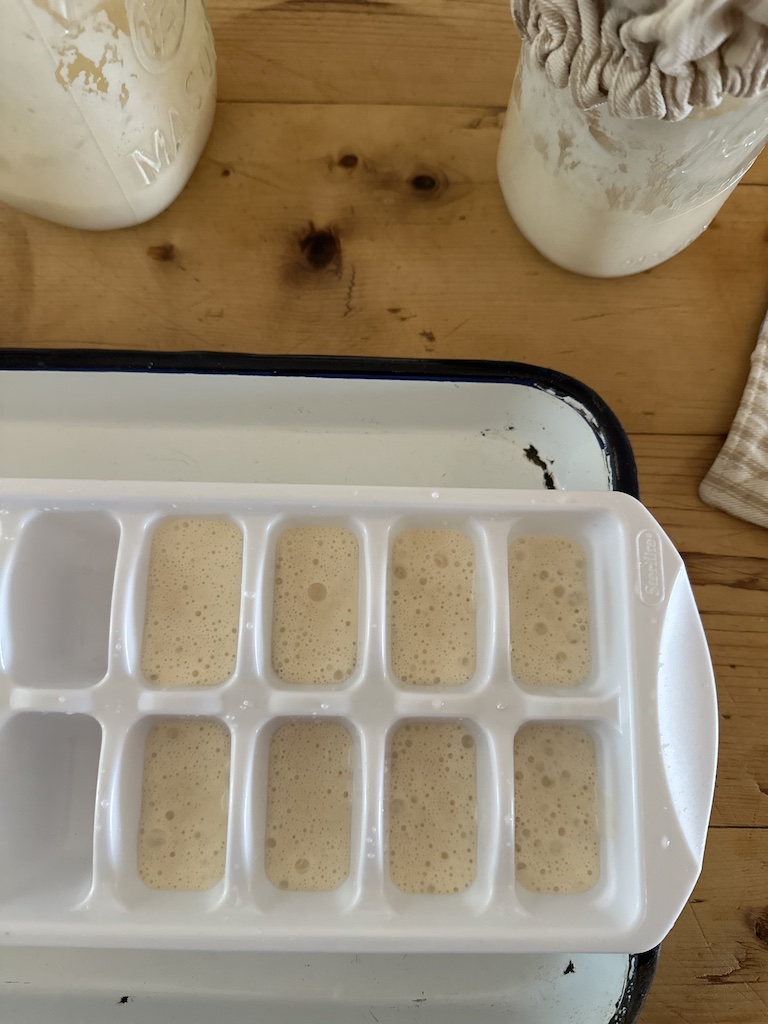 How To Freeze Sourdough Starter - Easy Guide + Tips